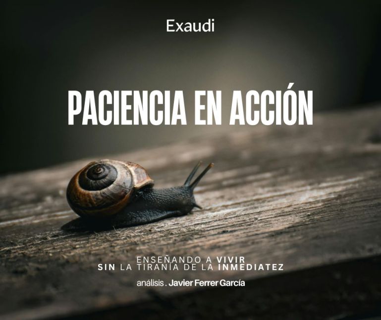 Paciencia en acción: enseñando a vivir sin la tiranía de la inmediatez ...